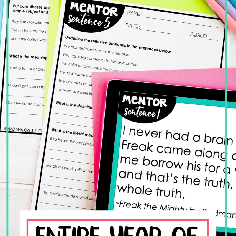Using Mentor Sentences to Teach Grammar in Middle School - The Hungry ...