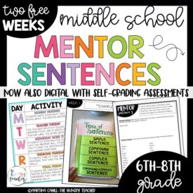 Using Mentor Sentences to Teach Grammar in Middle School - The Hungry ...