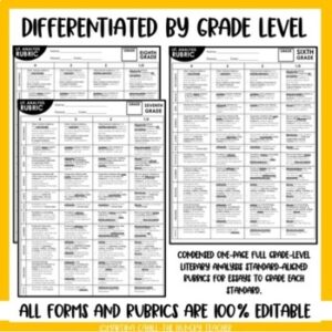 Editable Middle School Literary Analysis Essay Rubrics for 6th 7th and ...